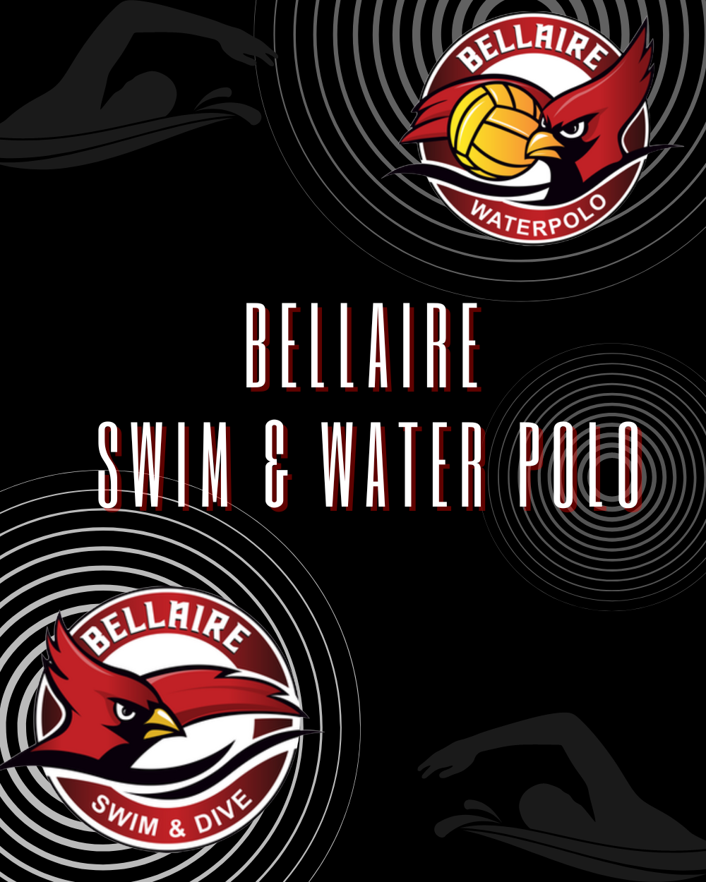 Bellaire Swim - Dive & Water Polo – Trend Monkey Custom Apparel Printing